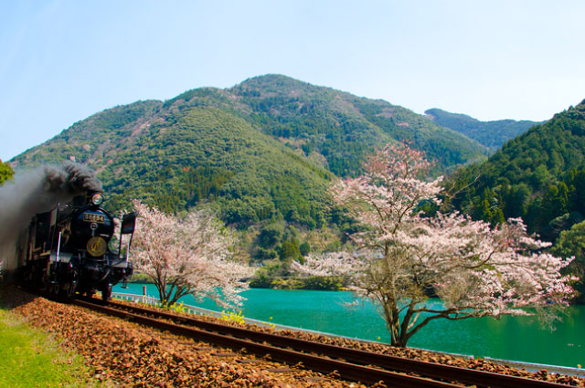 Spring in Kyushu｜Solaseed Air